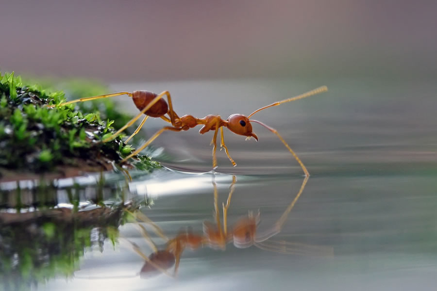 OddFuttos, When The Photos Speak: Art Photography, Stunning Photos of ...