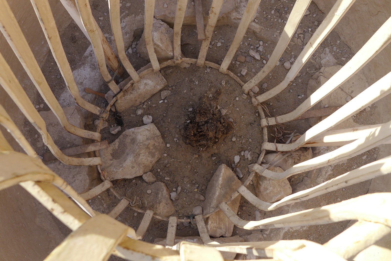 Jeffrey Bale's World of Gardens: The Gardens of Ancient Egypt