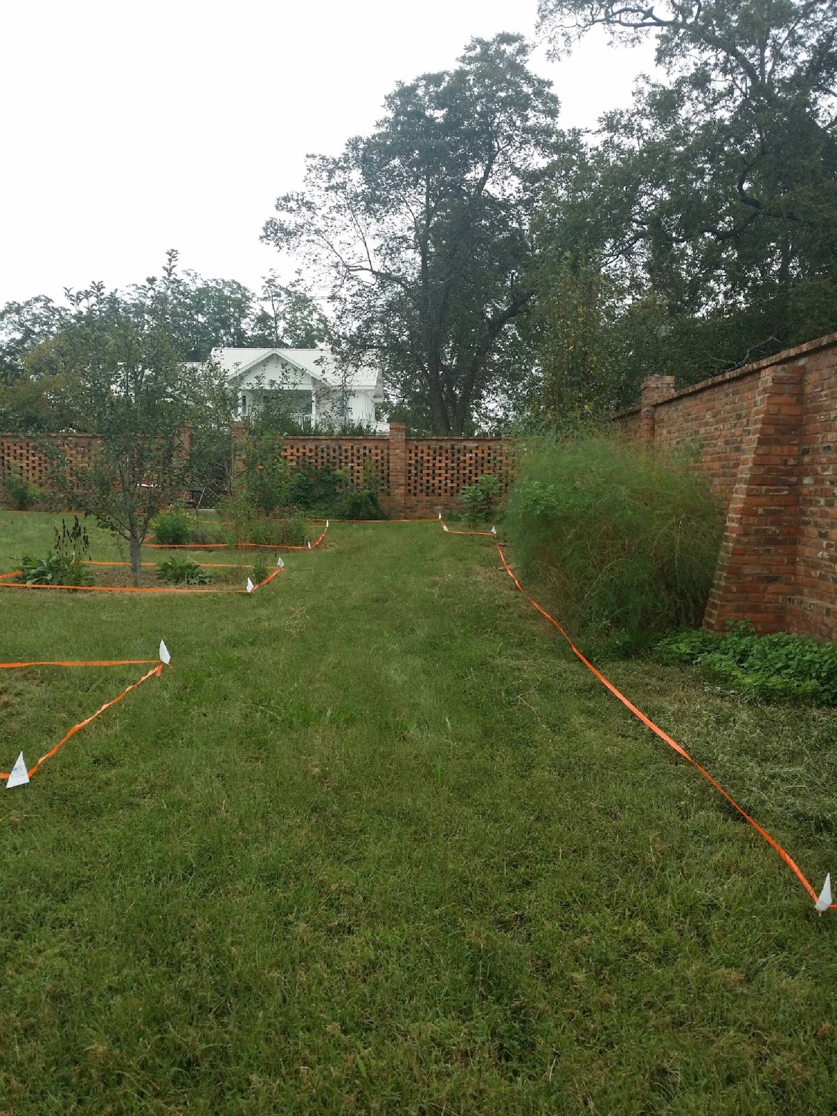 TARA DILLARD: Designing an Enclosed Fruit Orchard