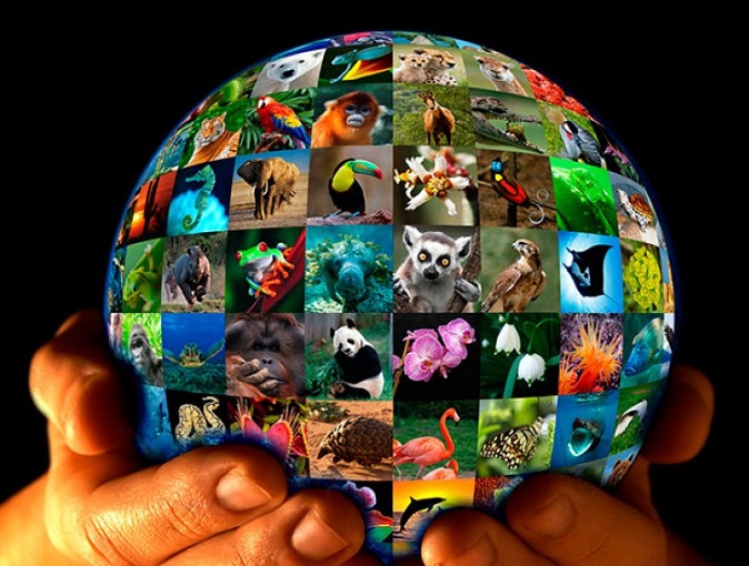 Invitan a conferencias de biodiversidad mexicana ~ Mira tu México