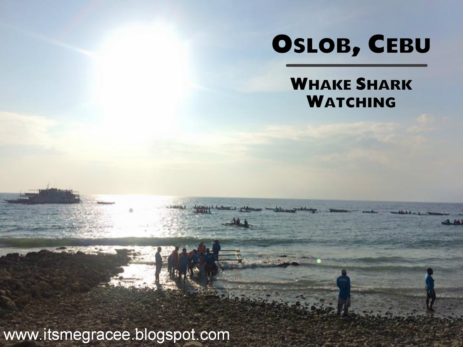 OSLOB Whale Shark Watching: Travel Guide - How to go to Oslob from Cebu ...
