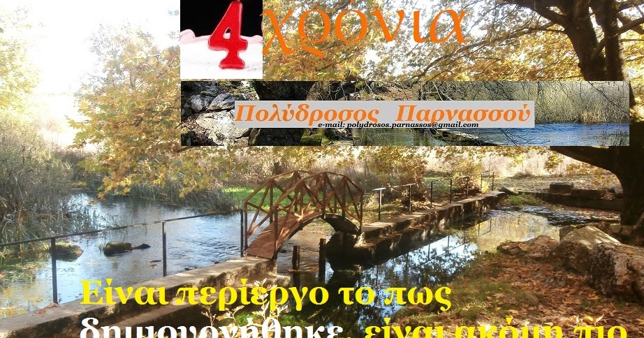 Πολύδροσος Παρνασσού: ΄΄ΠΟΛΥΔΡΟΣΟΣ ΠΑΡΝΑΣΣΟΥ΄΄ 4 χρόνια μαζί σας