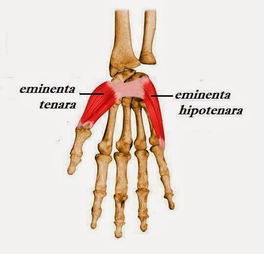 Angel Blue: februarie 2014