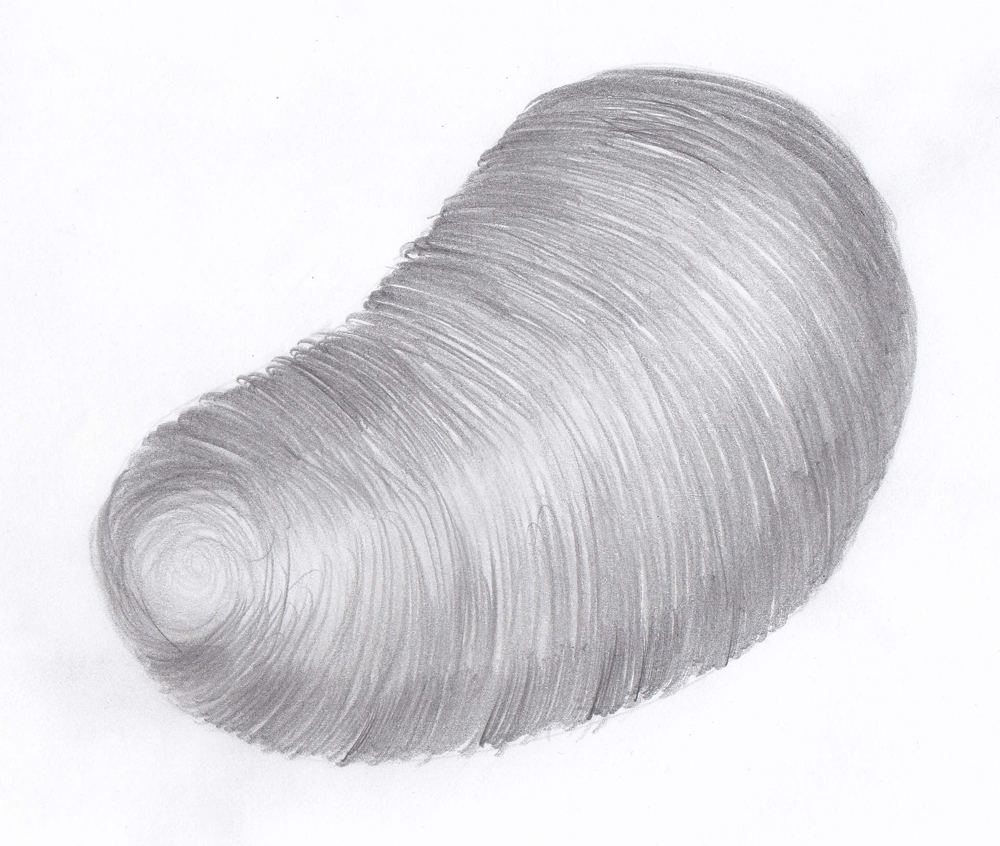 Weekly : Doodles and tuts: Drawspace Lesson F08: Circular hatching