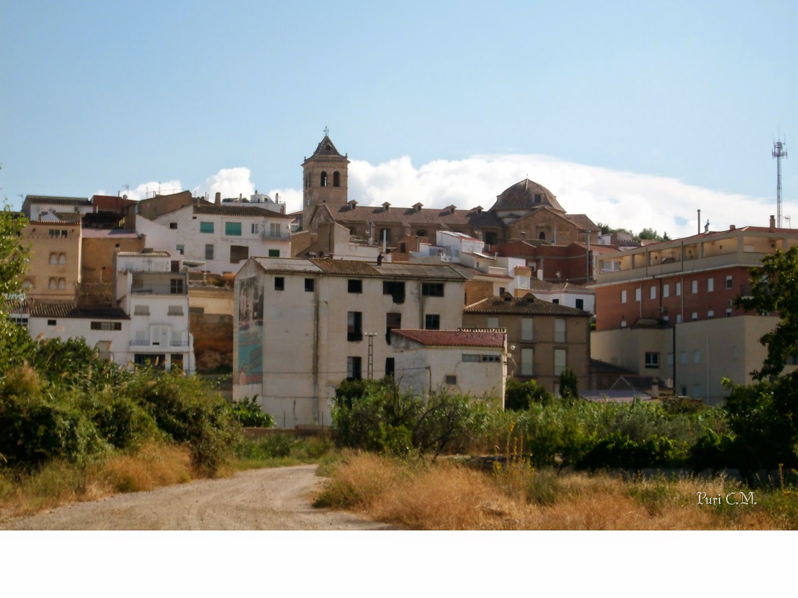 Mis paseos por el campo: Un recorrido por Cúllar