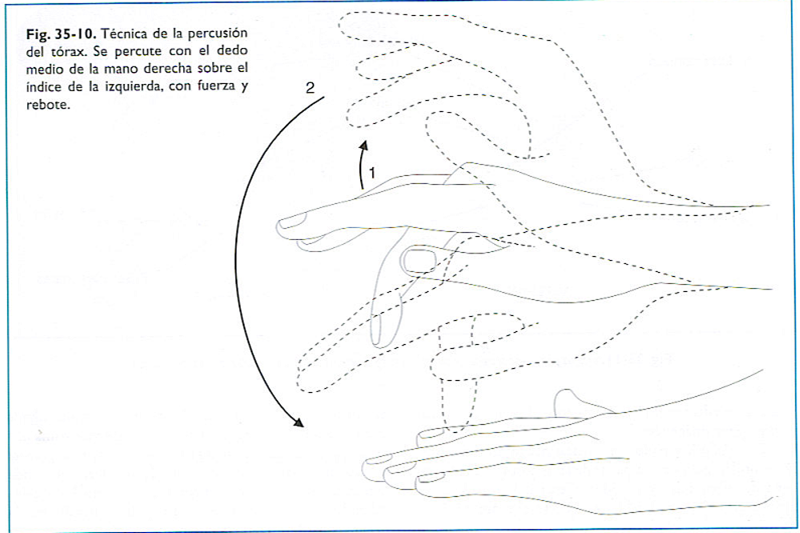 DescubreSemiologiaQuirurgicautesa: Torax Y Abdomen