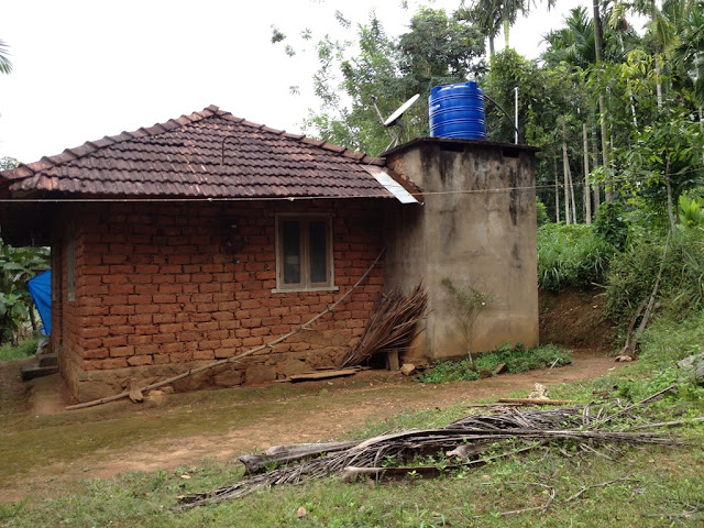 Real Est Wayanad : 1.31 acre rubber and coffee plantation with old ...