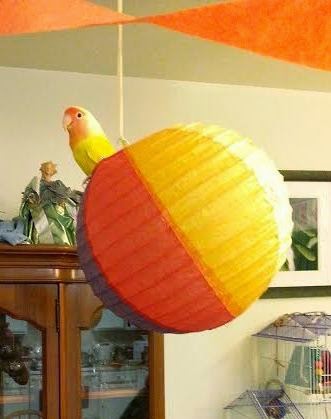 Today's Little Ditty: Haiku Garden: Tabatha Yeatts