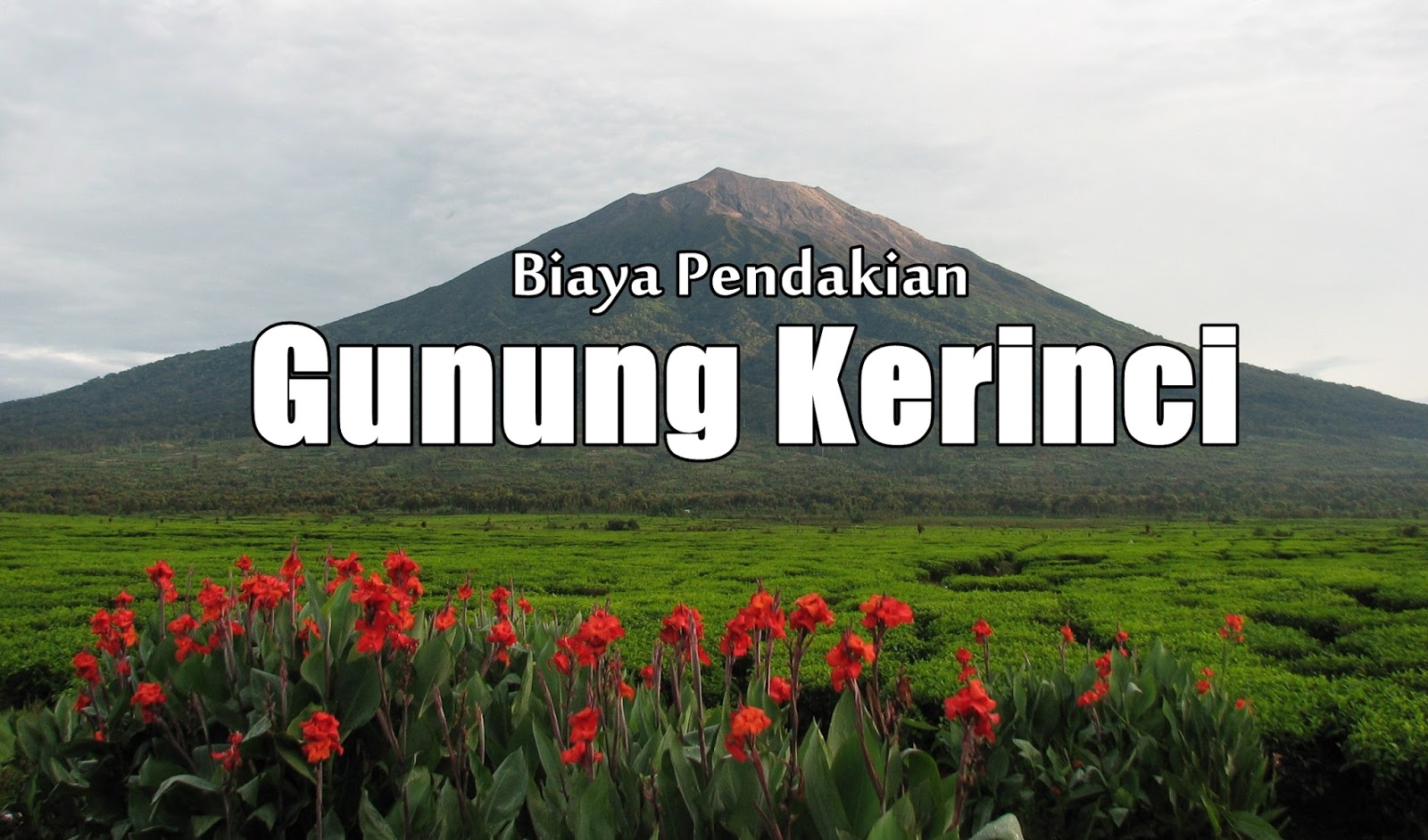 Biaya Pendakian Gunung Kerinci, Jambi (Dari Jakarta) - Daki Gunung
