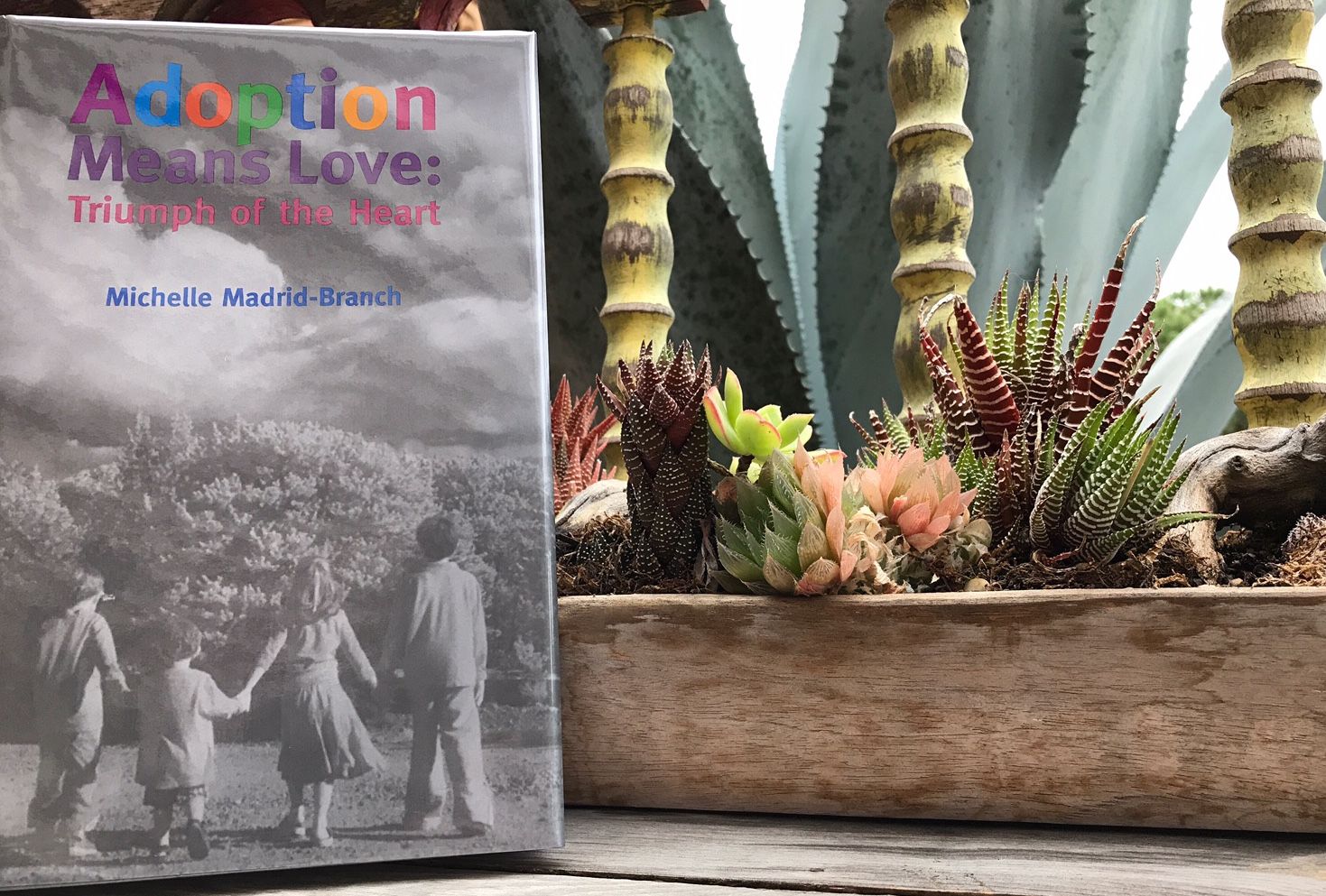 White Sugar, Brown Sugar: Adoptee and Mom-by-Adoption Michelle Madrid ...