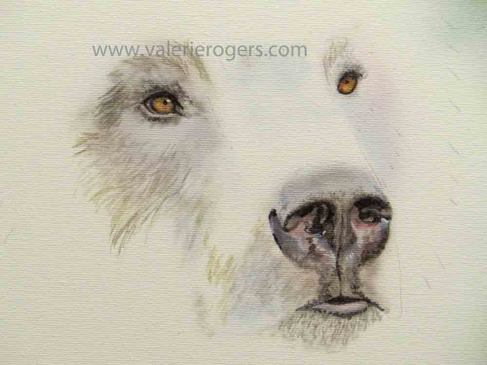 Valerie Rogers Art - www.valerierogers.com