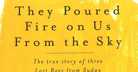 Mary Okeke Reviews: They Poured Fire on Us From the Sky, 2006, by ...