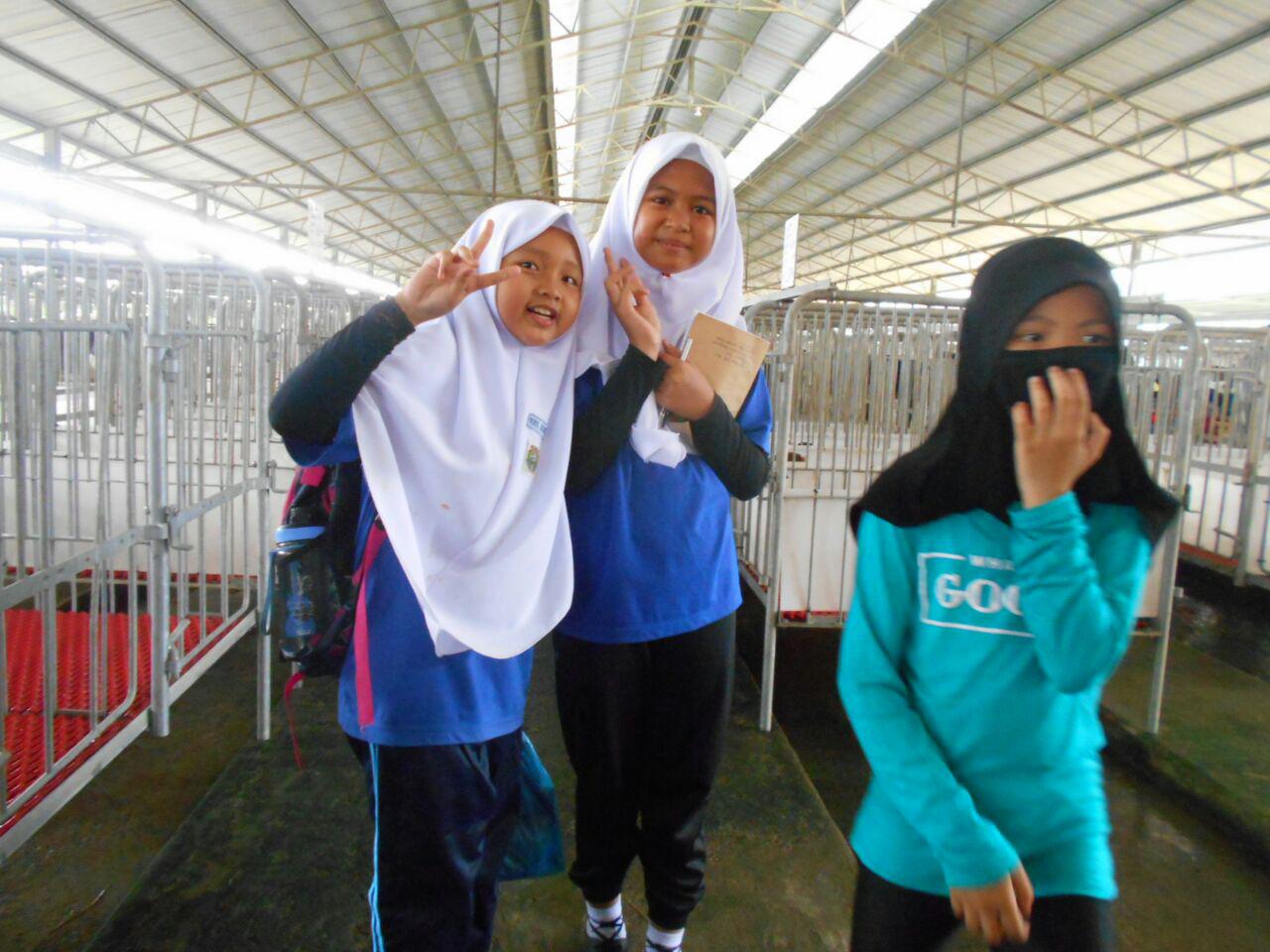 LAWATAN KE LADANG LEMBU DATUK YAP YUN FOOK, KENINGAU