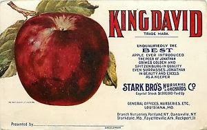 Too Many Tomatoes : King David Apples