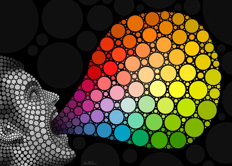 Best example of Digital Photography. ~ blog for everyone