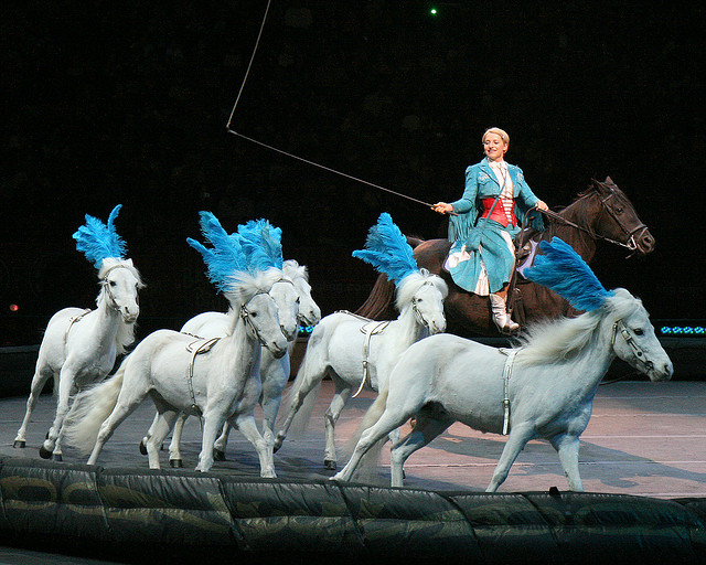 ..Circus Anonymous..: ..The Circus Horses..