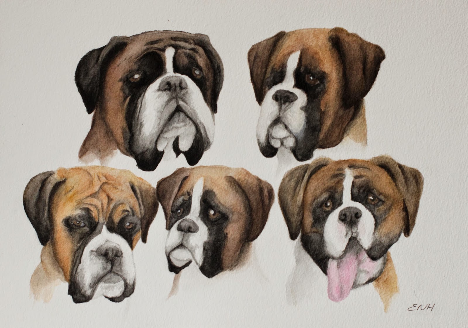 Emma Hewson Pet Portraits