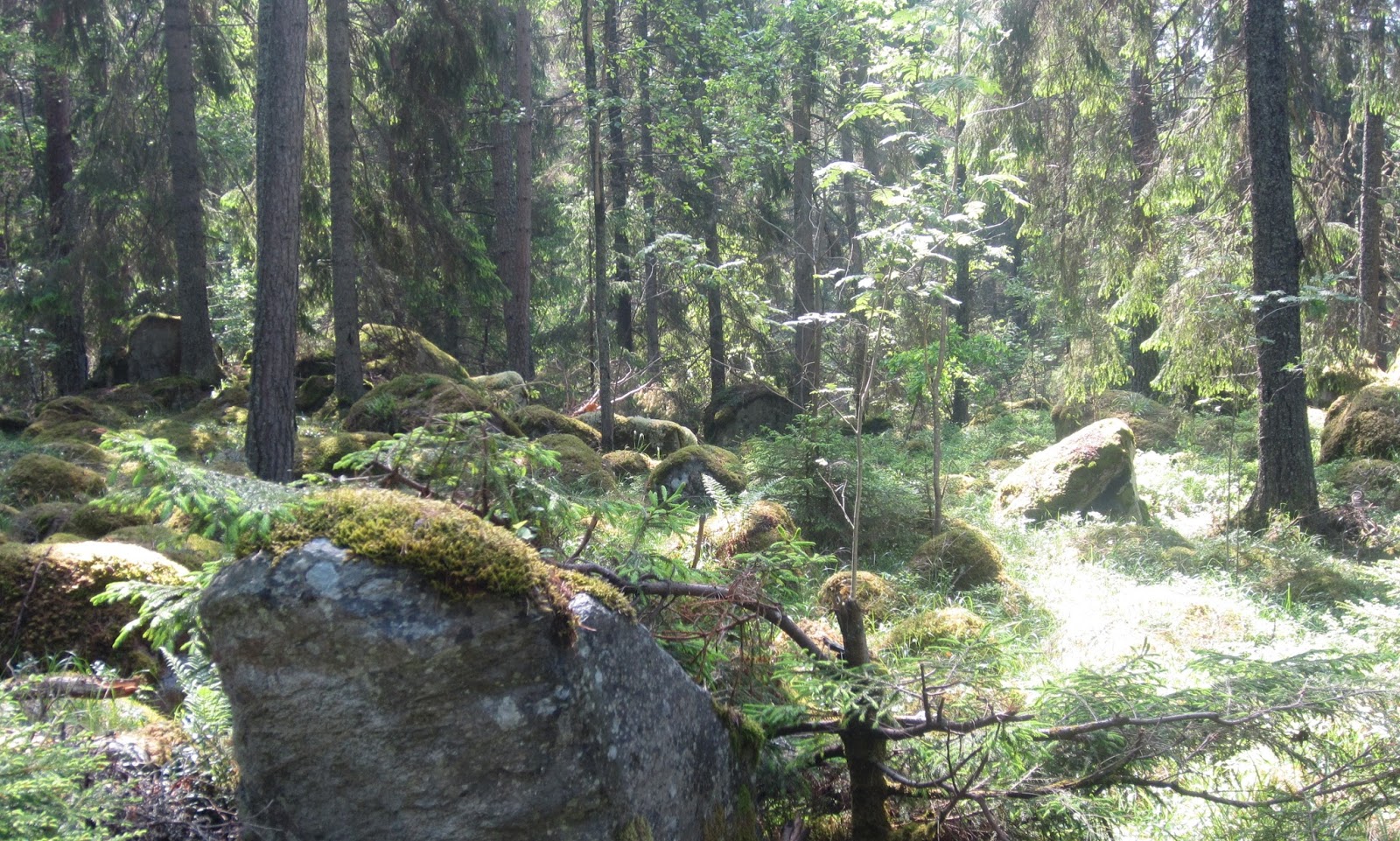 ROSLAGSSTOPPET: Gimo IF - IK Hinden 6-2 (2-1) Alunda IF - Almo BK 0-2 (0-1)