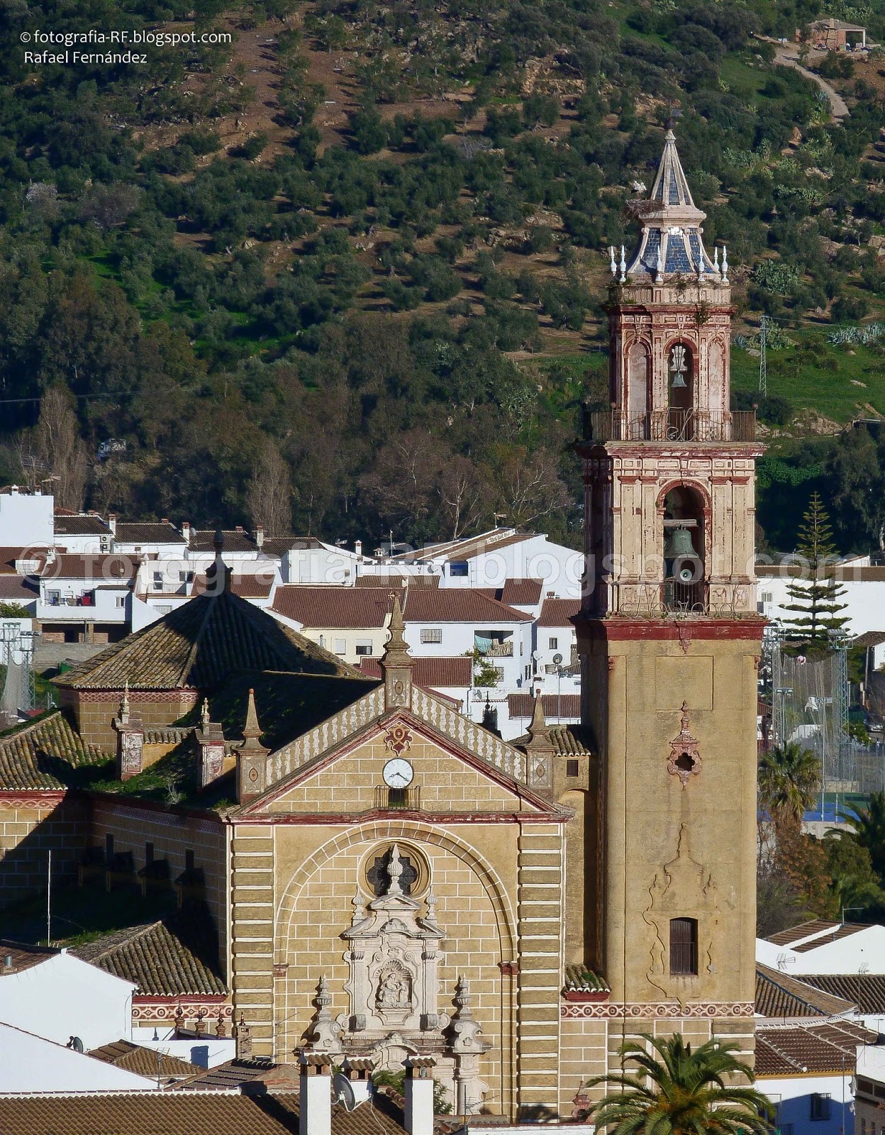 FOTOGRAFIA RF: ALGODONALES