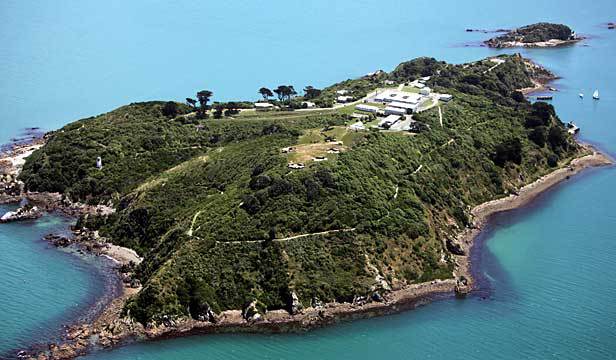 cultura / ... acertijos enlaceverde: (... puertas con alma) WELLINGTON