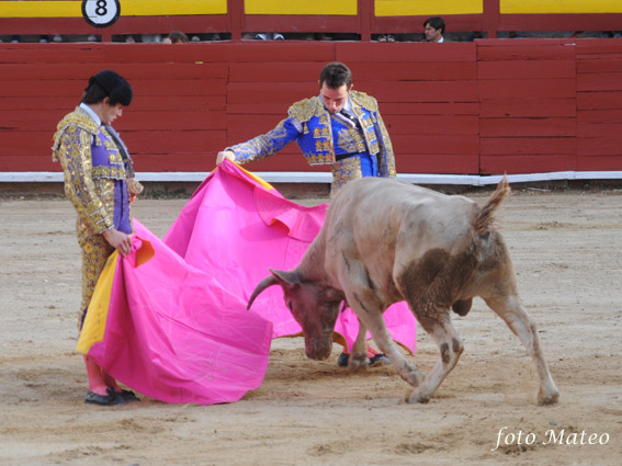 De mediterráneo y oro: Torear al alimón