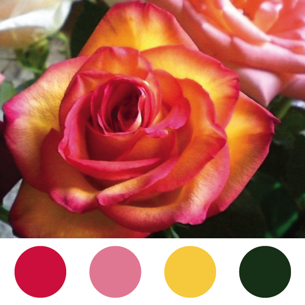 Ideas by Andrea: Interior Design Color Schemes #3