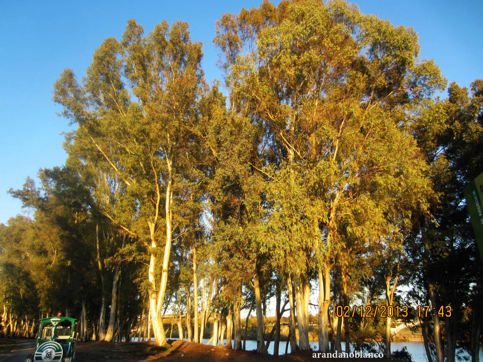 parquealamillo-encinarosa: Abiertos los nuevos accesos fluviales al ...