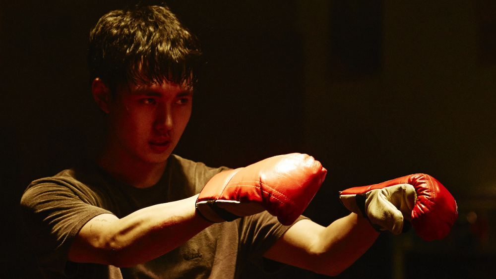 NETFLIX (13) - THE BITTERSWEET