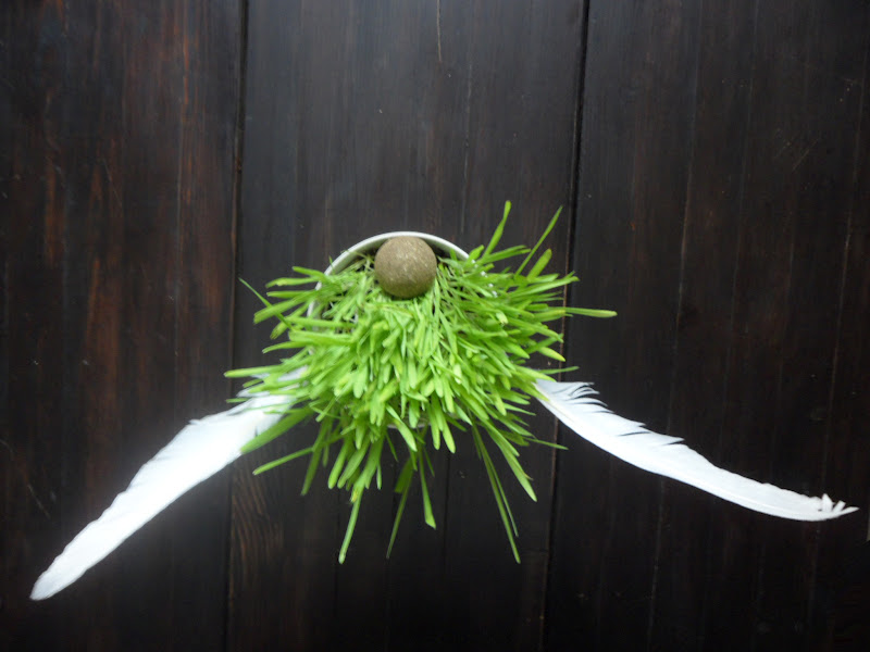 omⒶ KOPPA: Hyvää syntymäpäivää Robert!