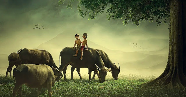 KISAH CERITA ANAK GEMBALA DI ERA TANPA GADGET [SEBELUM ERA DIGITAL ...