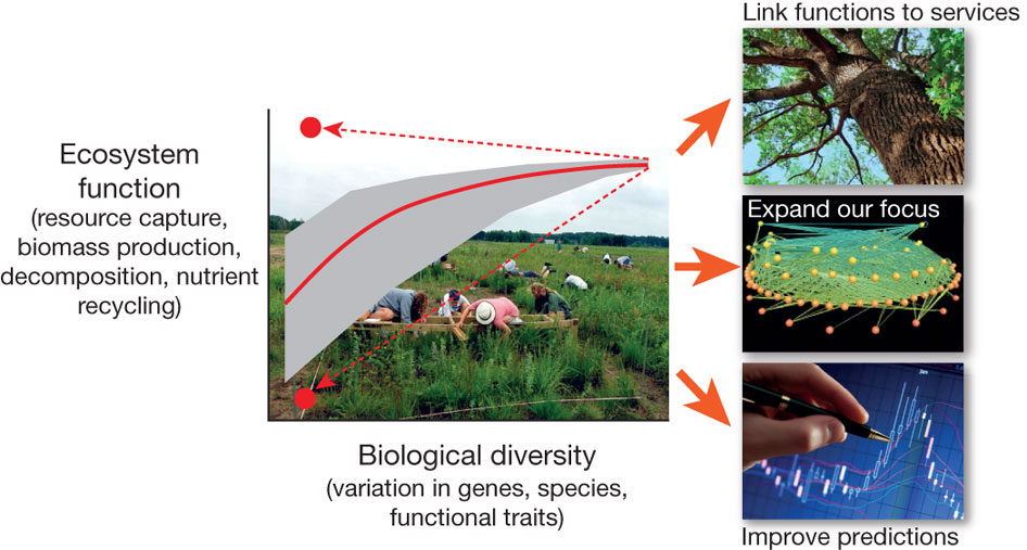 PRT2008 (Group 6): CHAPTER 4 - GENETIC RESOURCES IN AGRICULTURE