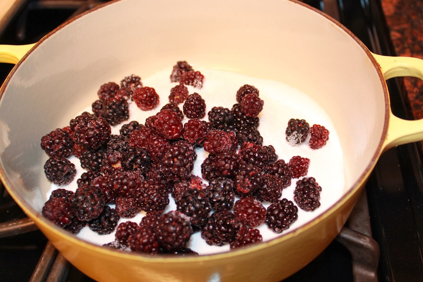 Michelle's Tasty Creations: Blackberry~Raspberry Pie