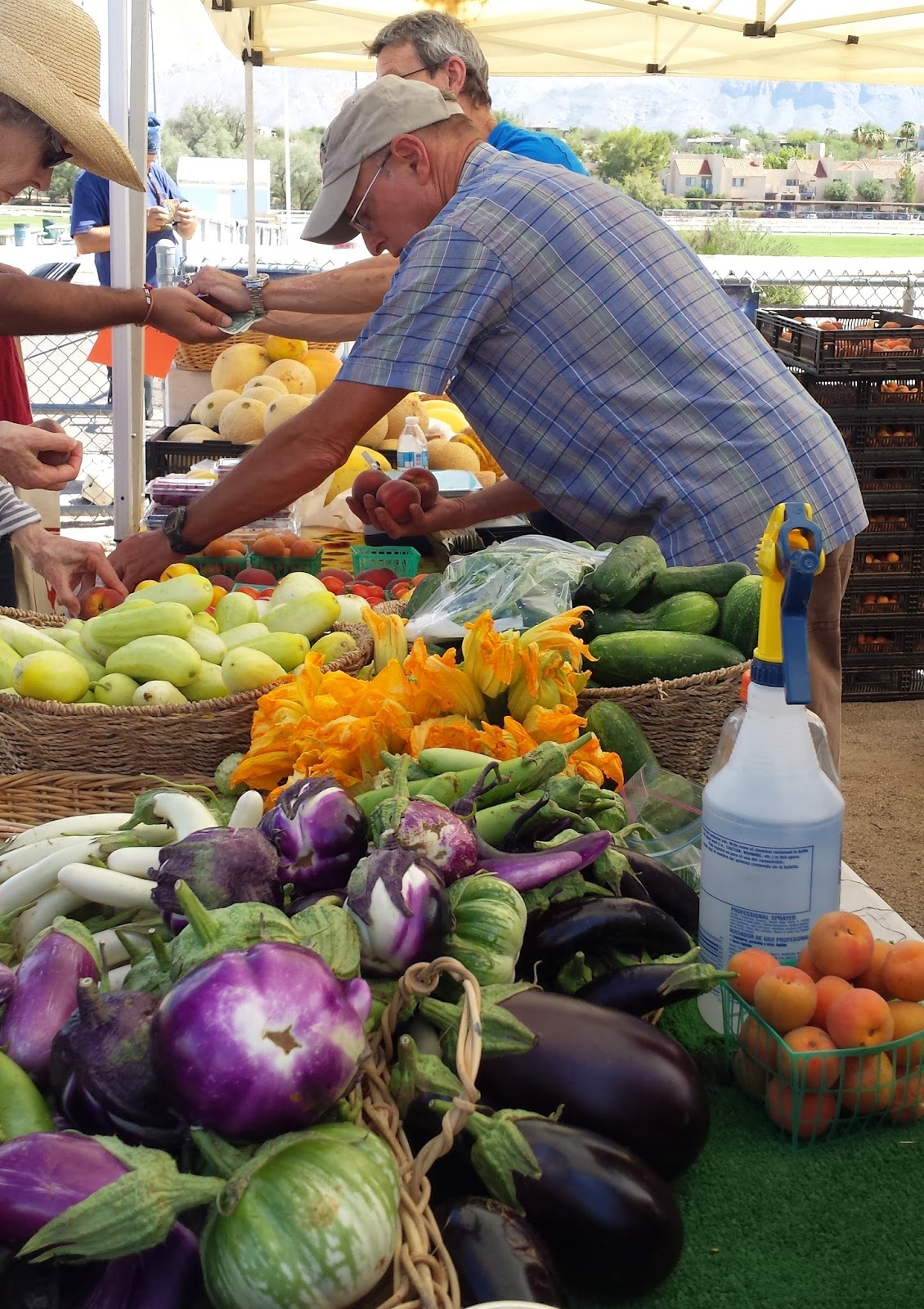 The Burrow: Rillito Downs Farmers Market