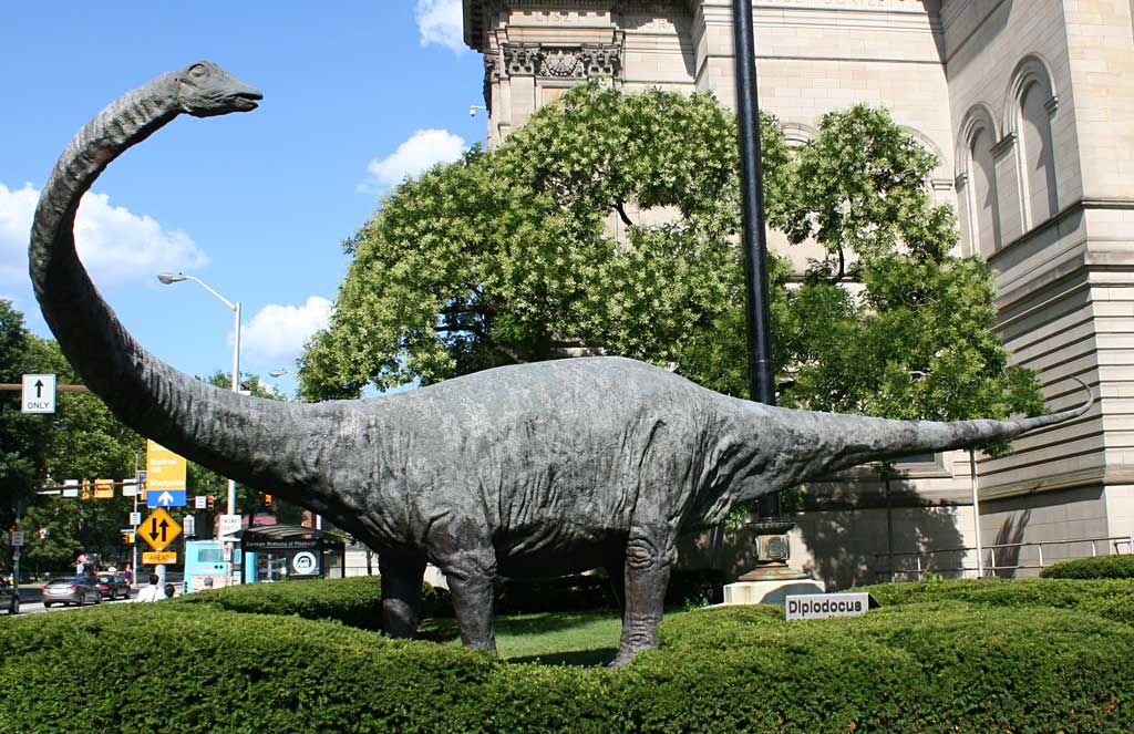 Louisville Fossils and Beyond: Carnegie Museum of Natural History