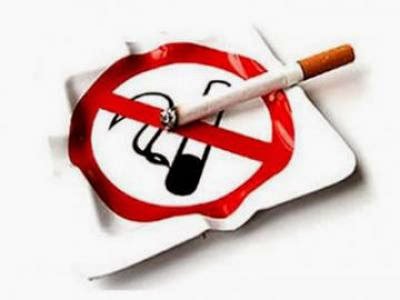 Escape from Western Diet: November 2014