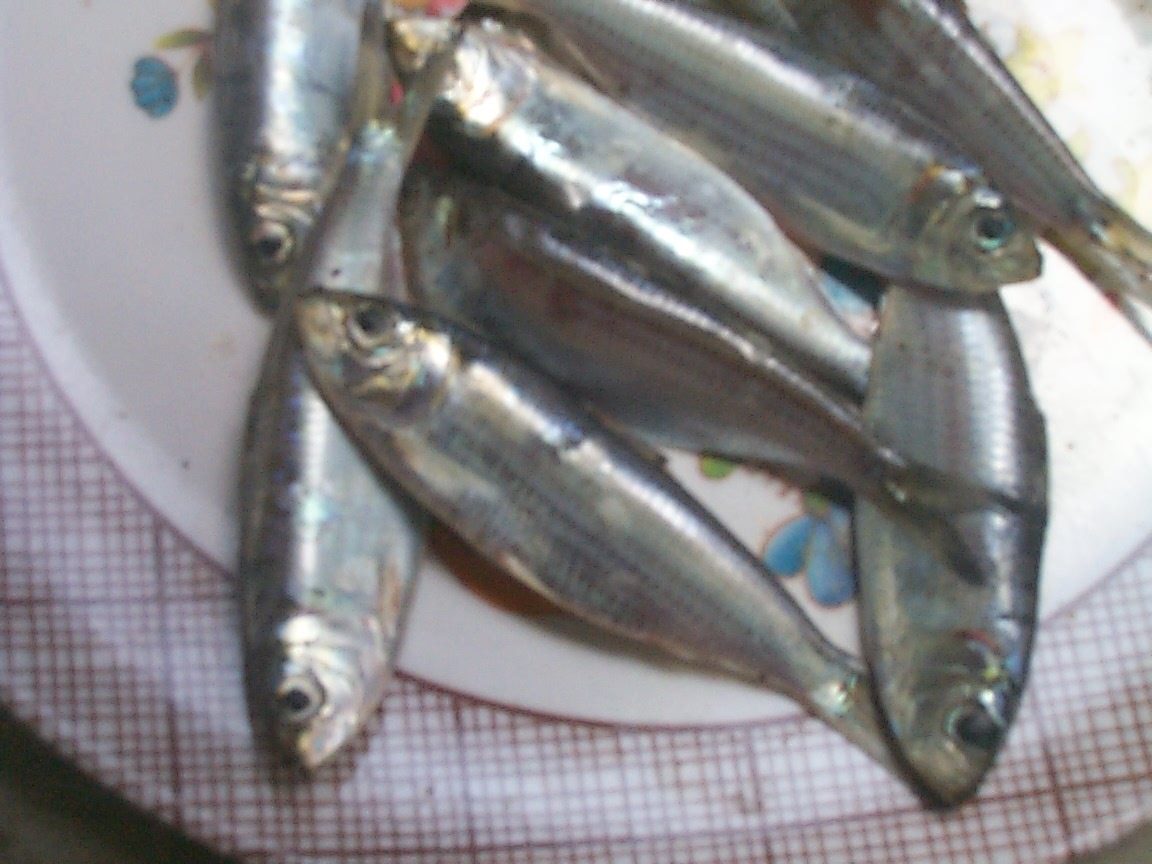 tungo sa kawalan: September 2011