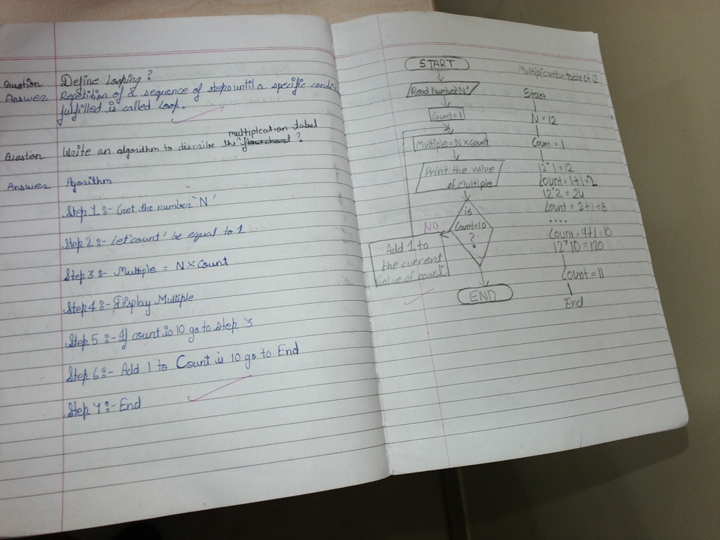 PIS VADODARA STD 5: computer -Algorithm and Flowchart