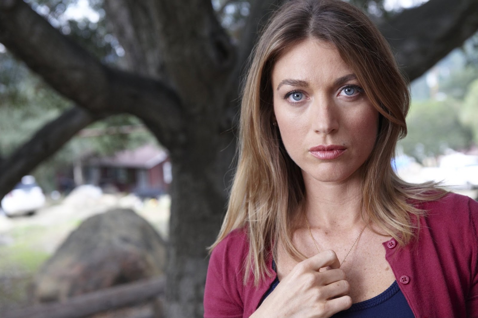 Natalie Zea Photos | Tv Series Posters and Cast