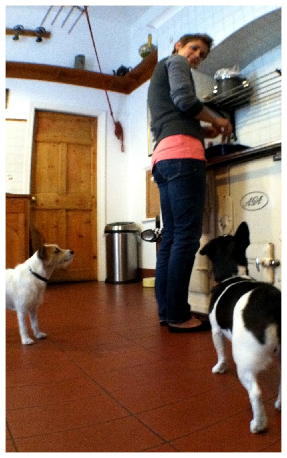 The Gallivanting Grasshopper: Crubeen Disaster -- Cork, Ireland