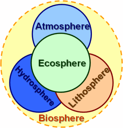 The Nitrogen Cycle