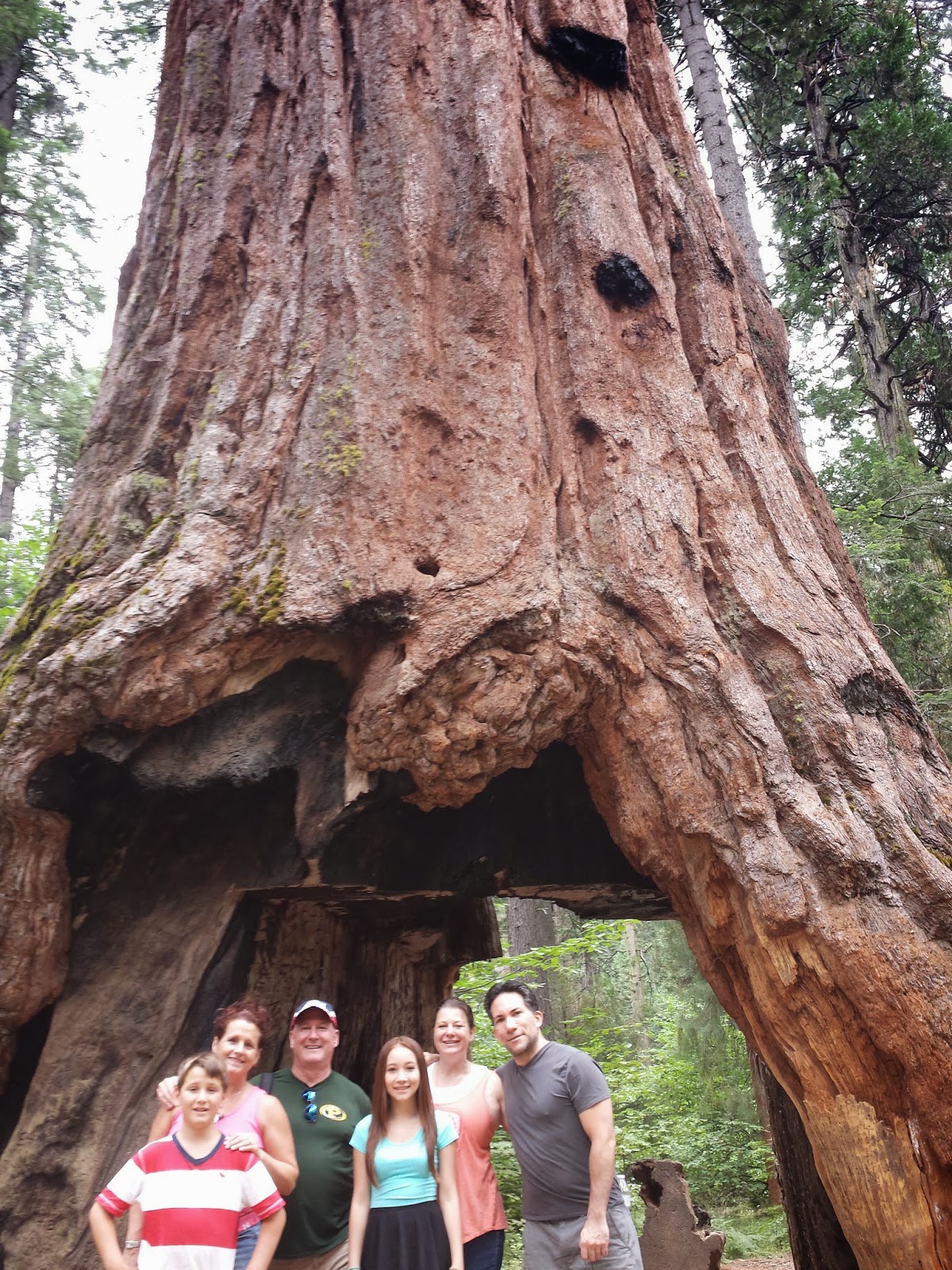 The Monday Motivator: Making Memories at Big Trees State Park