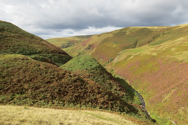 Howden Moors - Howden Dean, Back Tor and Lost Lad ~ Occasionally Lost