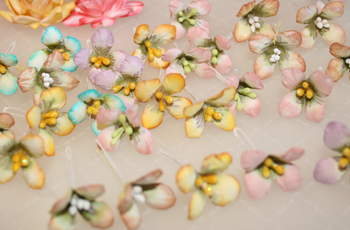 Artfully Minded Studio: Hydrangea punch made this flower, a photo ...