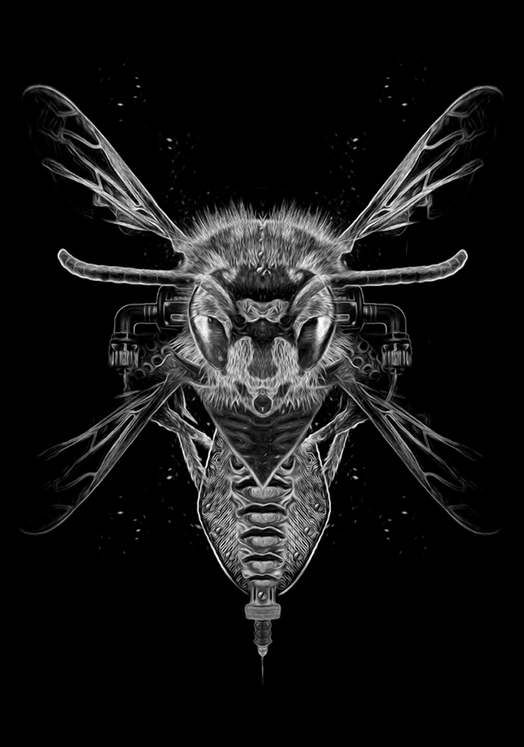 Sevasblog : things I like: Nicolas Obery