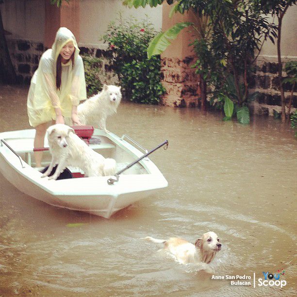 Viral Cool And Funny Pics About The Recent Floods In the Philippines ...