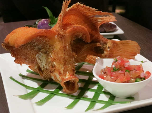 Dee: Dancing Fish, BSC