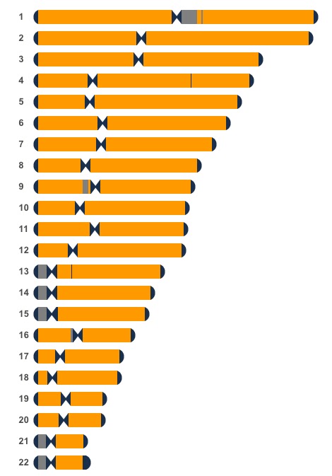 Your Genetic Genealogist: AncestryDNA: Confusing Relationship ...