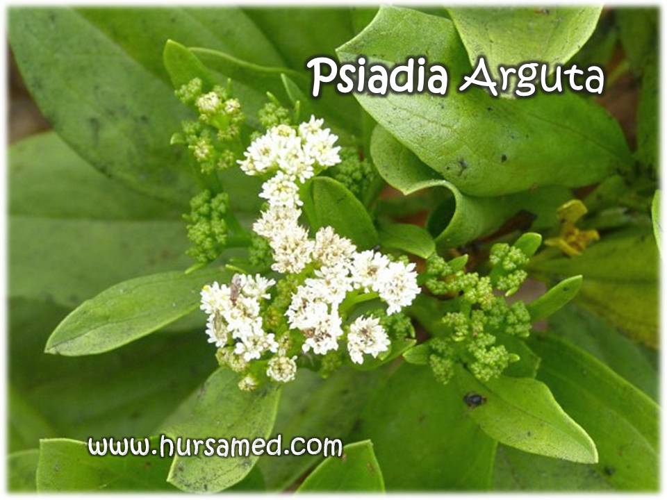 HEALTHNATURE: Обикновени растения с изненадващи тайни