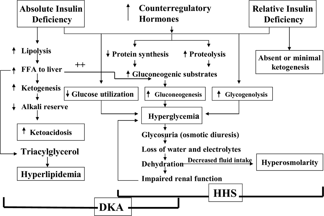 EM Didactic: Hyperosmolar Hyperglycaemic State - HHS