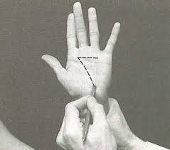 Evaluación Fisioterapeutica: II CORTE